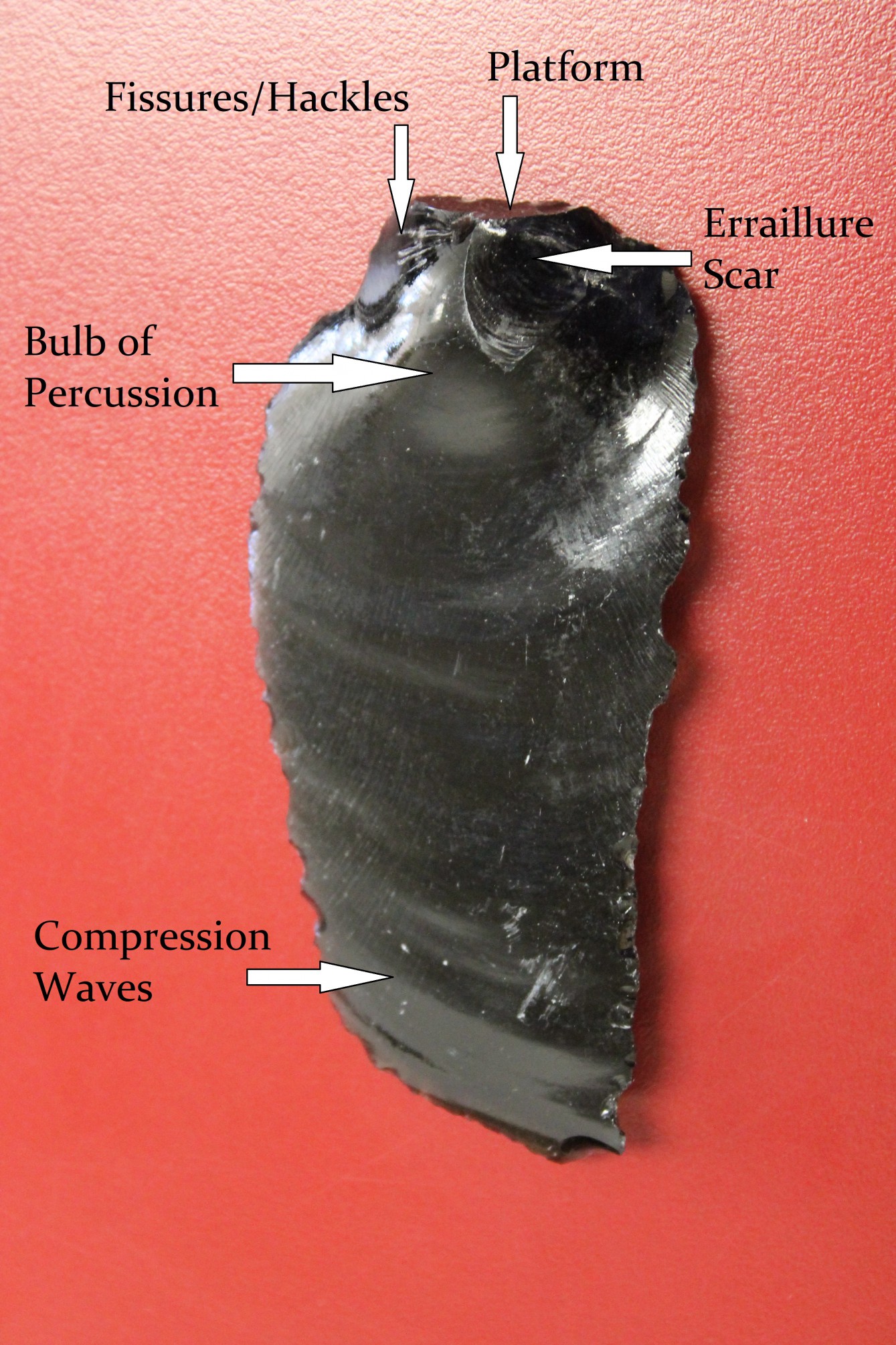 Flakes Learning About Lithics
