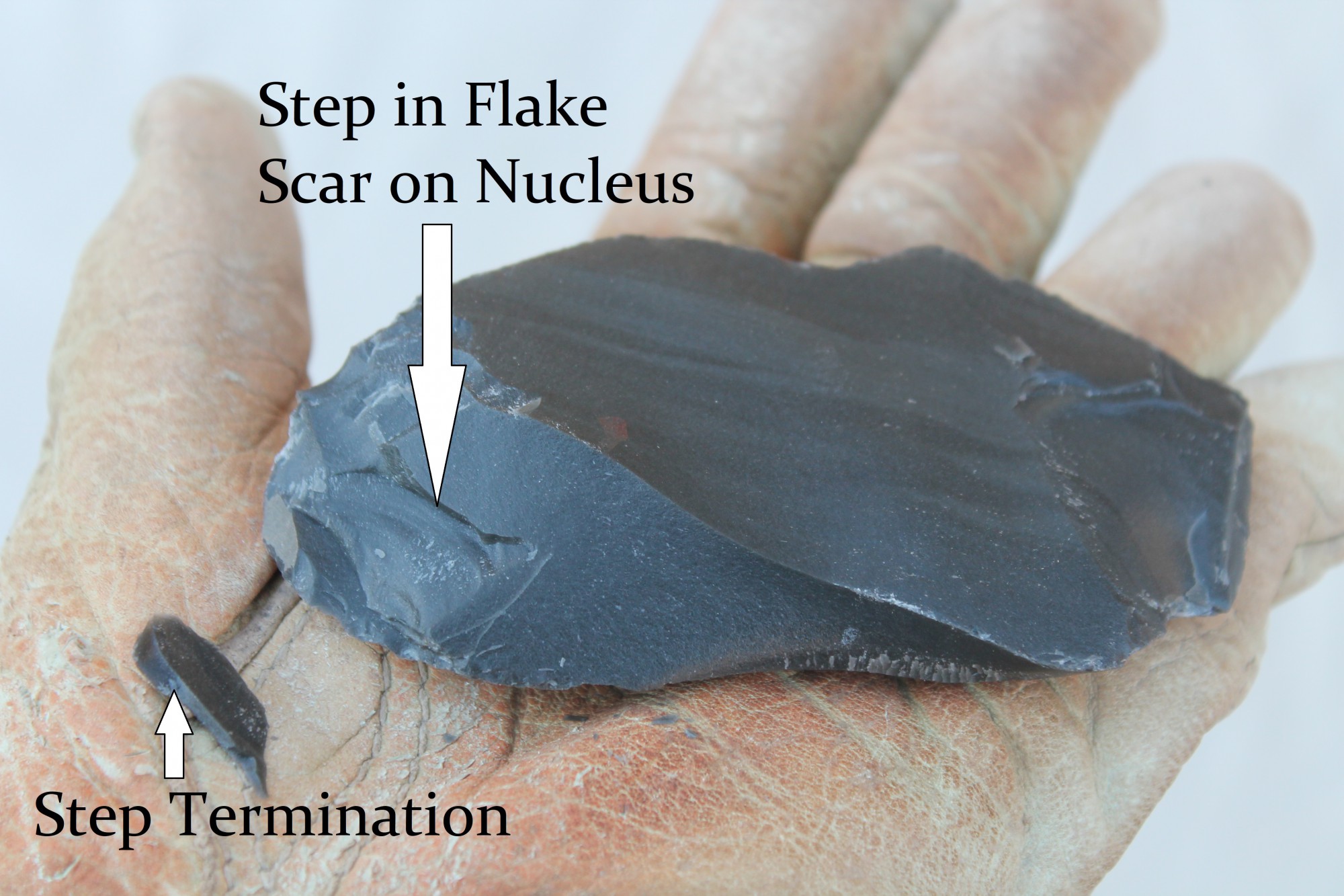 Flakes Learning About Lithics